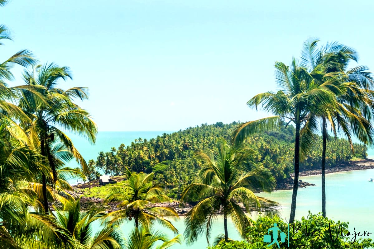 Datos divertidos e interesantes sobre la Guayana Francesa - Blog Viajero