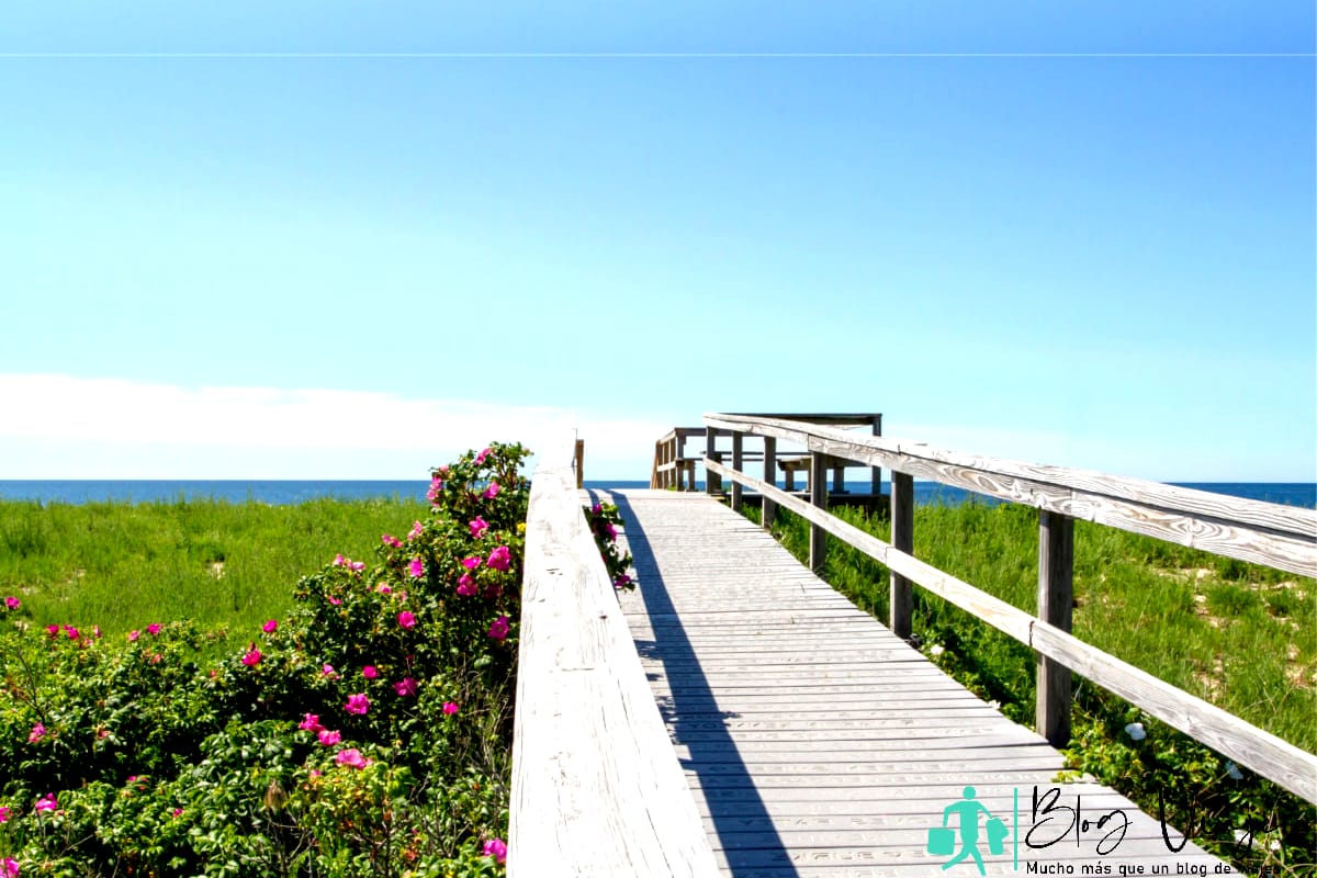 cosas que hacer en Sandwich MA - 15 cosas increíbles para hacer y ver ...