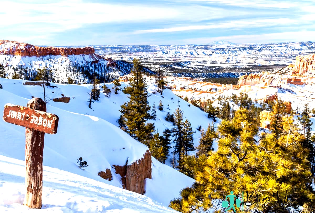 Cosas que hacer en Utah en invierno - Las 19 mejores actividades de ...